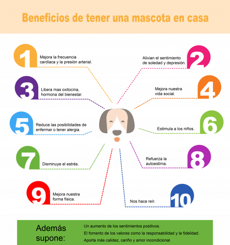 Beneficios de tener una mascota - Grupo Tress Internacional